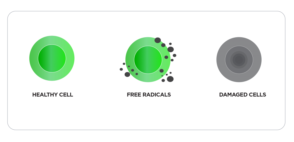 Free Radicals and Skin Antioxidants :: SkinDNA Genetic Test